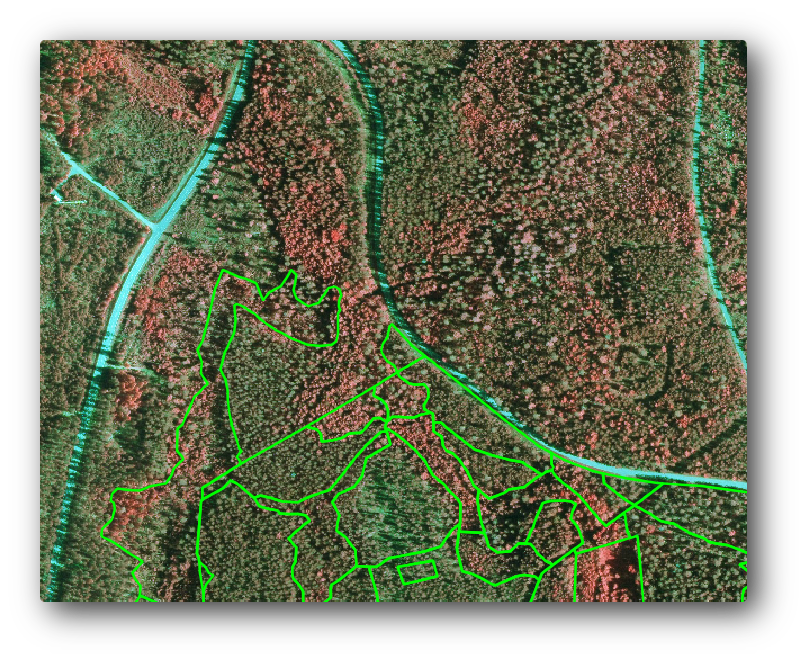 15 4 Lesson Updating Forest Stands 15 4 Lesson Updating Forest Stands